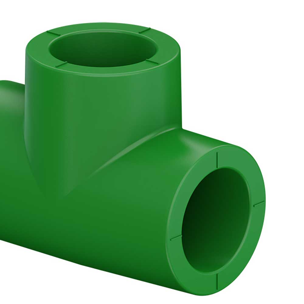 Tê Ppr Tigre | G-Haus - G-Haus